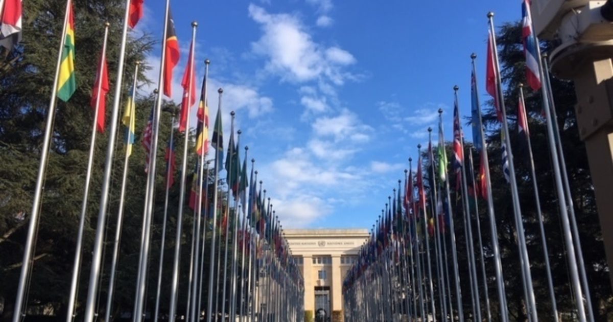 OMCT E-Bulletin - 80th session of the Committee against Torture | OMCT